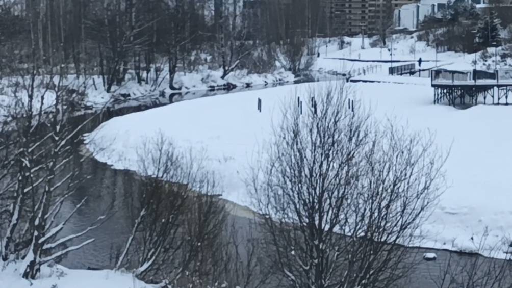 Зимний день в деревне Мурино