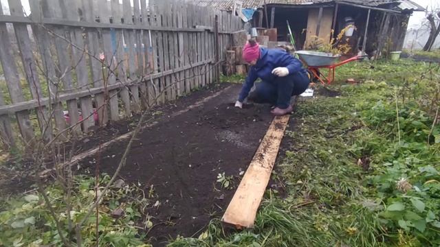 Пересадила крЫжовник  на постоянное место...