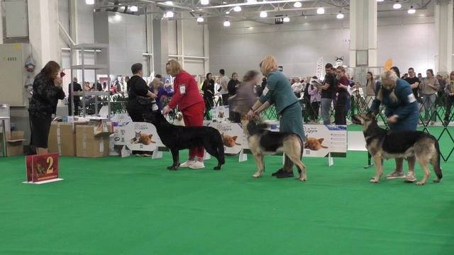 Класс чемпионов