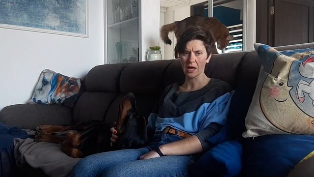 Отзыв о курсе "Базовая подготовка спортивной собаки"