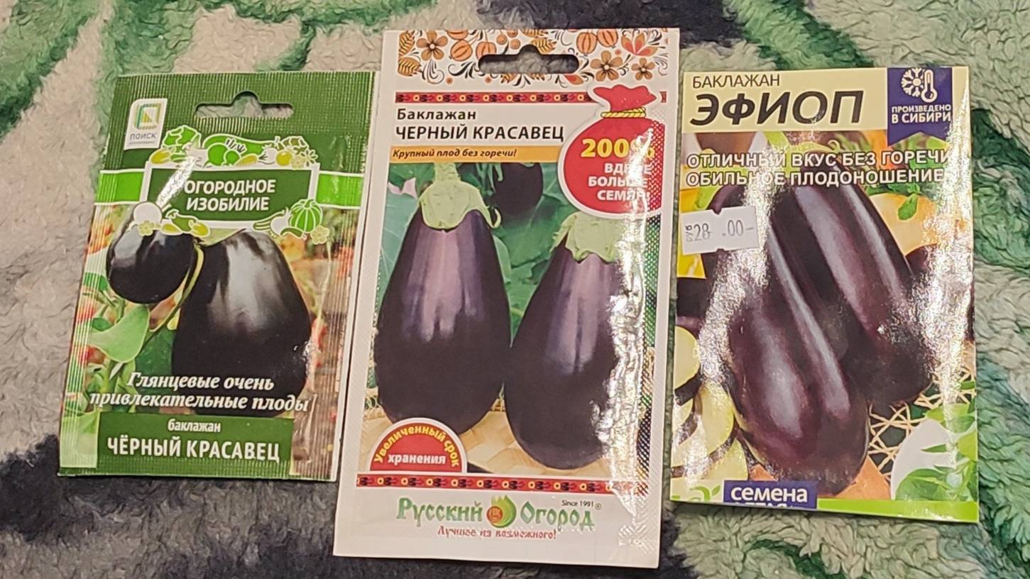 Сажаем  баклажаны.Самый лучший сорт 👍🤩