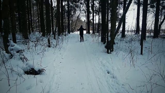 Соколовский родник. Лыжня здоровья.