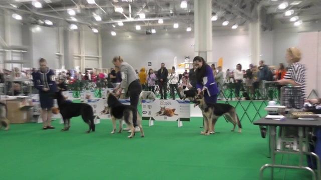 Класс юниоров