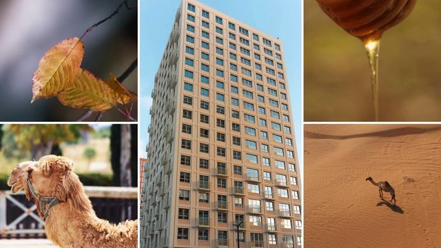 Цвета в ЖК «Городские сады» (1 этап)!