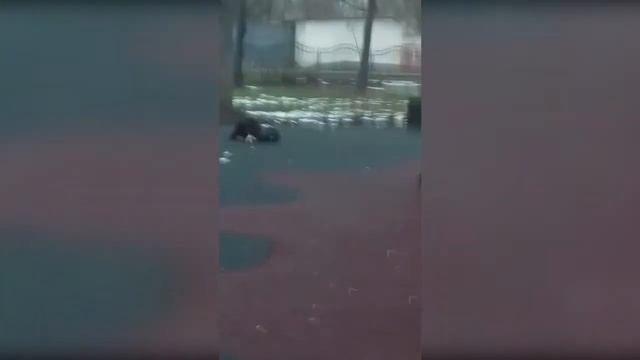 До/После. Команда место