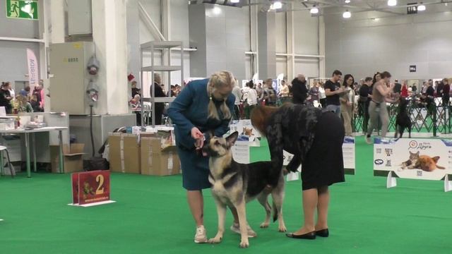 РА Путеводная Звезда Ариадна