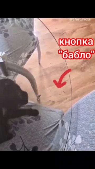 зарабатывать деньги легко  #юмор #деньги  #заработоквинтернете  #крипта