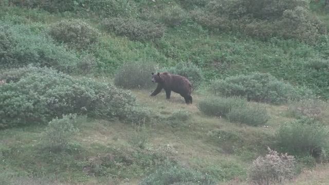 Наш путь не простой. Пройти Даштыг посмеешь ты. Часть 9.