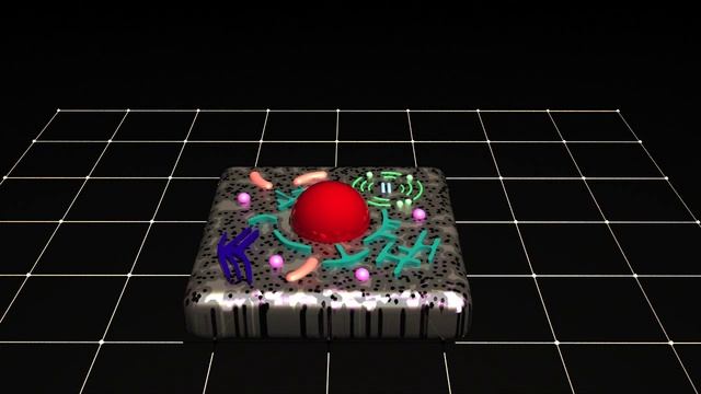 Природа раковой опухоли