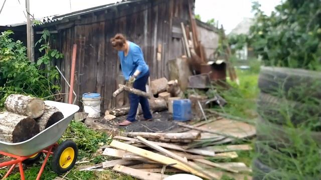 Как я убирала "пристройку" к сараю  освободила проход к другой части нашего участка