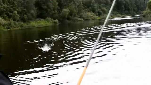 Рыбалка на реке Лежа.