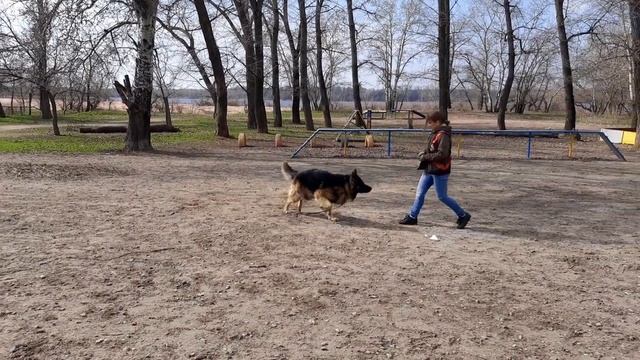 Отзыв Ирины Гусельниковой