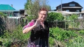 14.06.2024 Привезли внучку/будни в огороде/июнь 2024