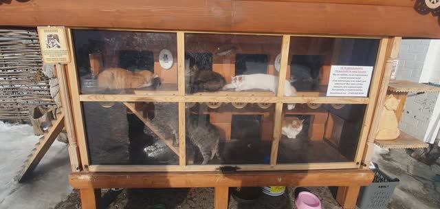 Кошкин дом Раифский монастырь Татарстан. Руслан Михайлов