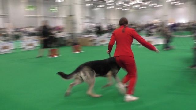 ОД Магнолия