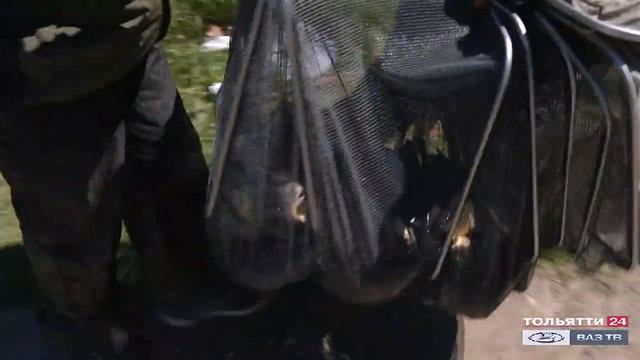 «По Волге. На Жигулях» 08.07.2020