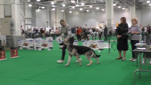 Жемчужный Норд