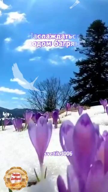 Просто... Такое настроение...