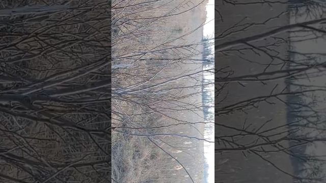 9й Отдельный Мариупольско-Хинганский Штурмовой Полк Морской Пехоты штурмовик Серпухович ЯГУАР