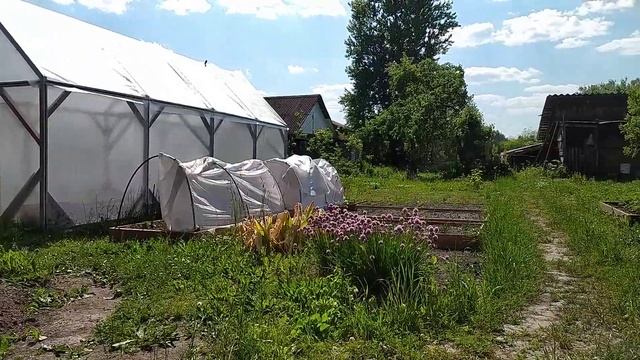 Июнь 2021  Панорамный обзор моего участка