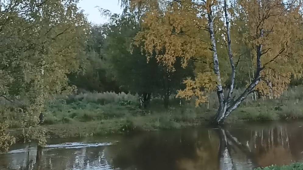 Осеннее половодье на Охте