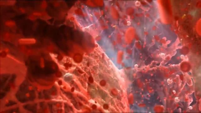 9 месяцев беременности за 20 минут в 3D с русской озвучкой