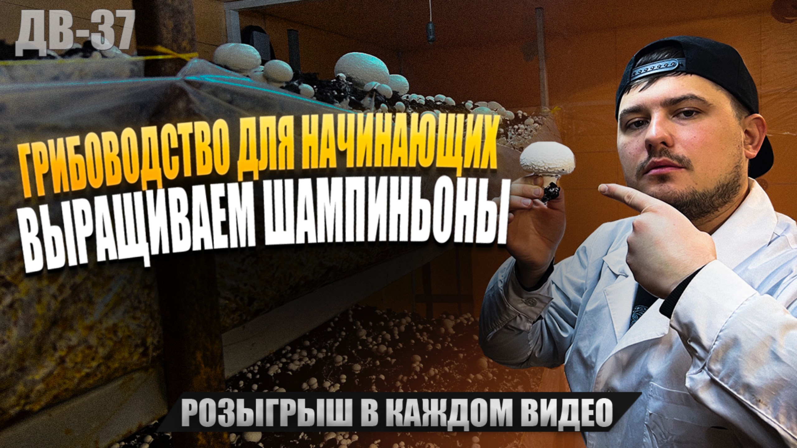ОТ ПОСАДКИ ДО СБОРА | ВСЕ О ШАМПИНЬОНАХ | ДВ37
