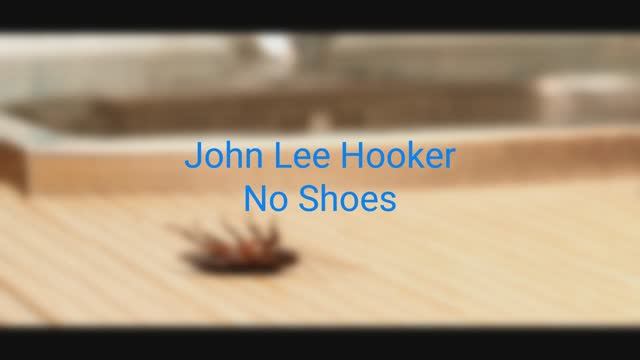 John Lee Hooker - No Shoes