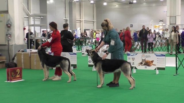 Сравнение открытого класса