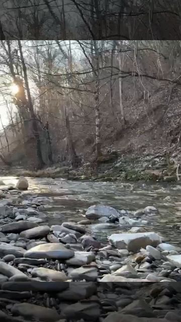 Геленджик природа