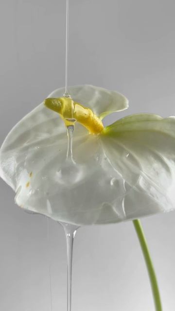 Женское здоровье — ваш главный ресурс