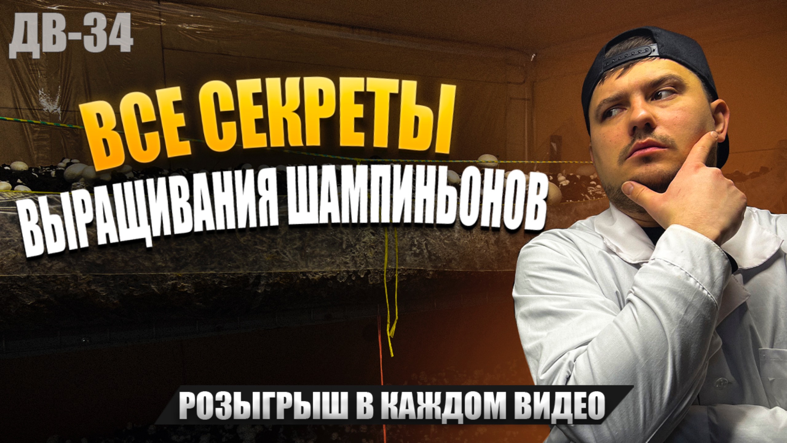 ГРИБНАЯ ЛИХОРАДКА | ДВ34