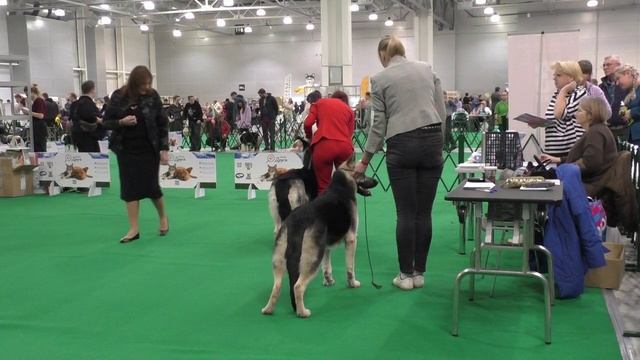 Расстановка класса юниоров