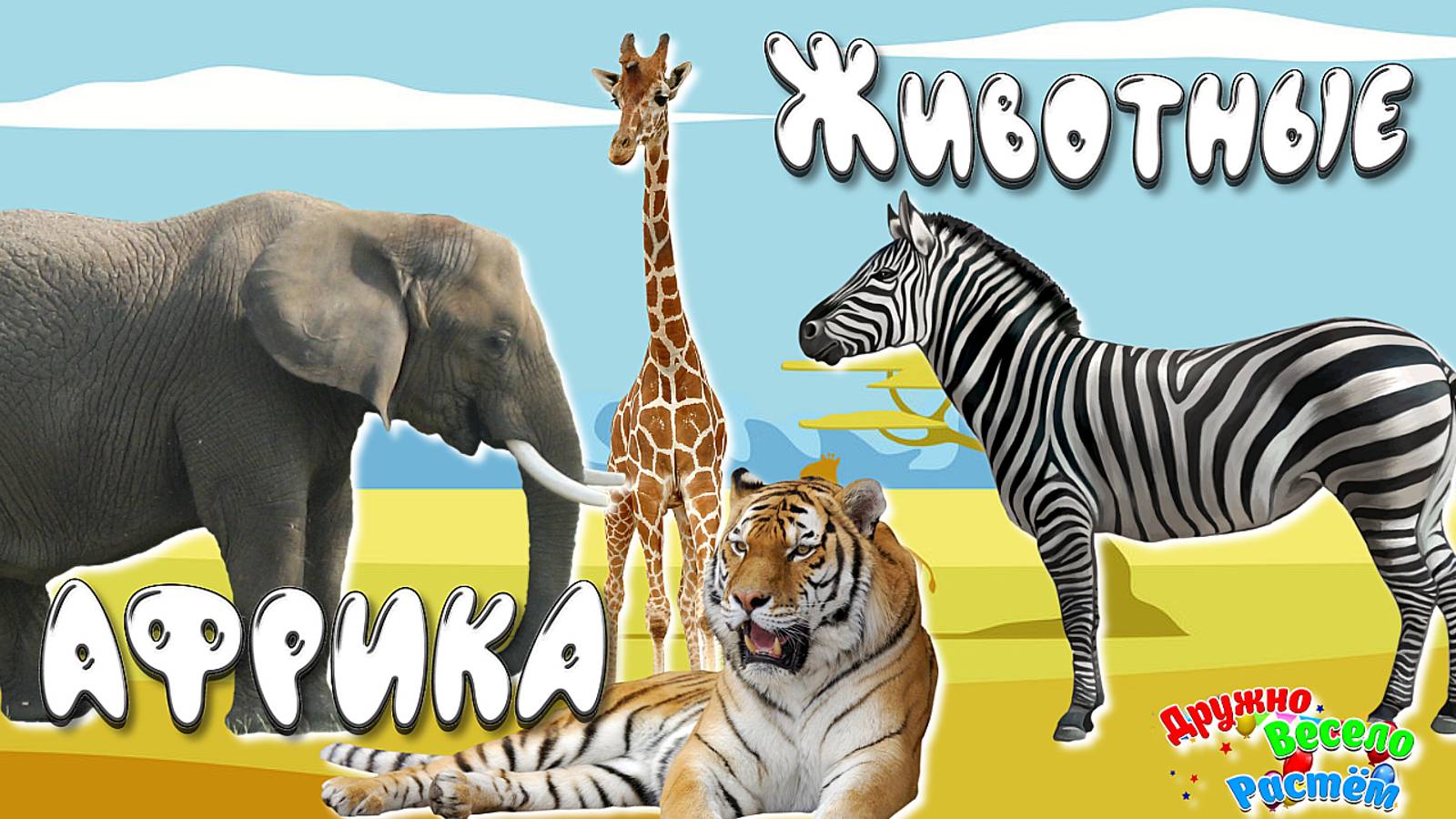 Дикие Животные Африки + Животные в Дикой Природе + Среда обитания Диких Животных АФРИКИ