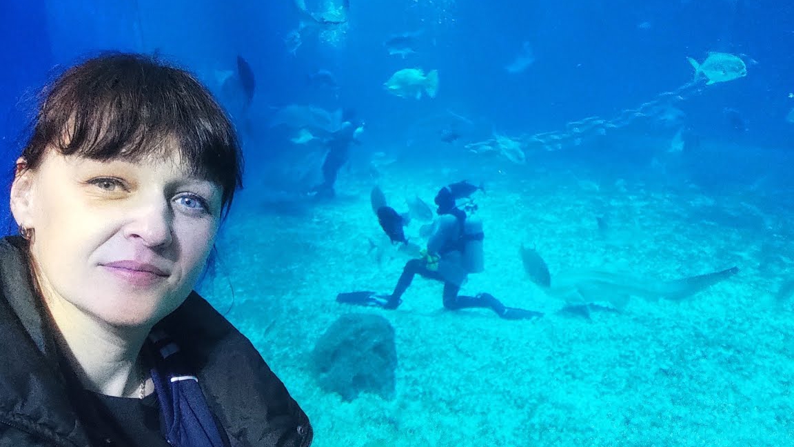 18.06.2024 Отпуск/ океанариум города Владивосток/июнь  2024