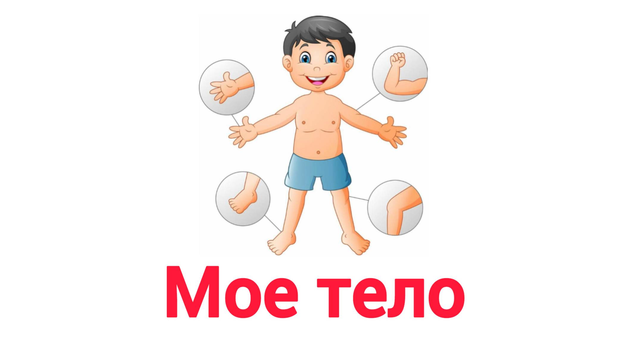 УЧИМ Мое тело для детей развивающие мультики познавательное обучающее видео для малышей на русском