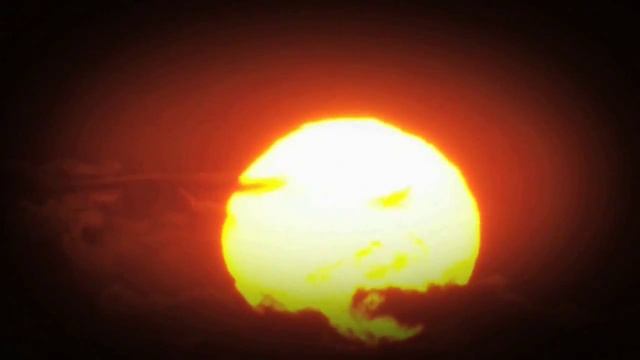 Многообразие жизни. Серия Человек. Часть I