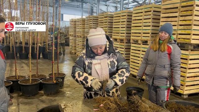 Вот несколько правил весенней обрезки, которые мы неустанно повторяем и применяем на практике: