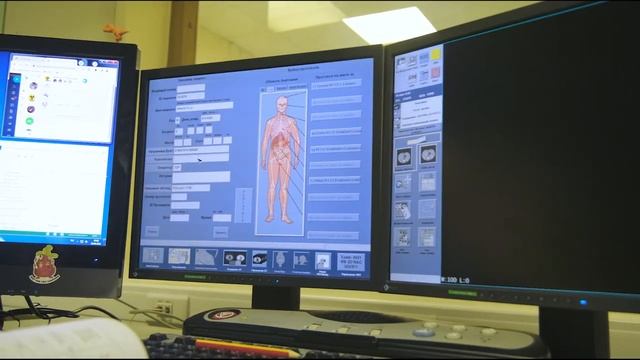 Рак почки Лечение