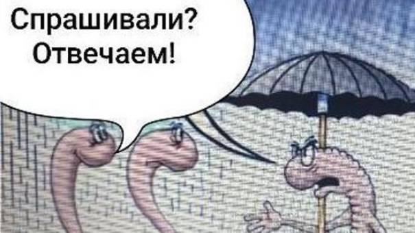 Холодком повеяло  от организаторов праздников о Защитниках и Защитницах!