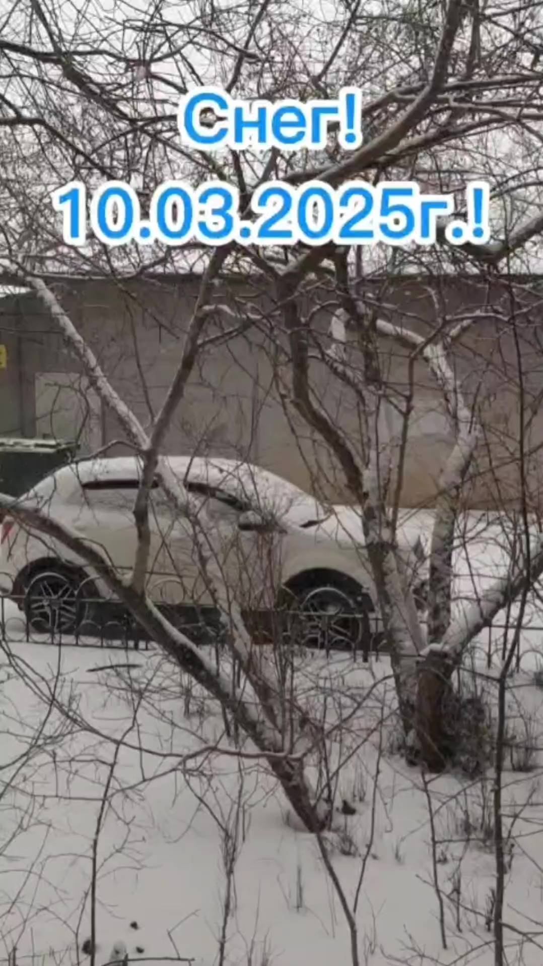 Снег!!!!  10.03.2025г.!!!
