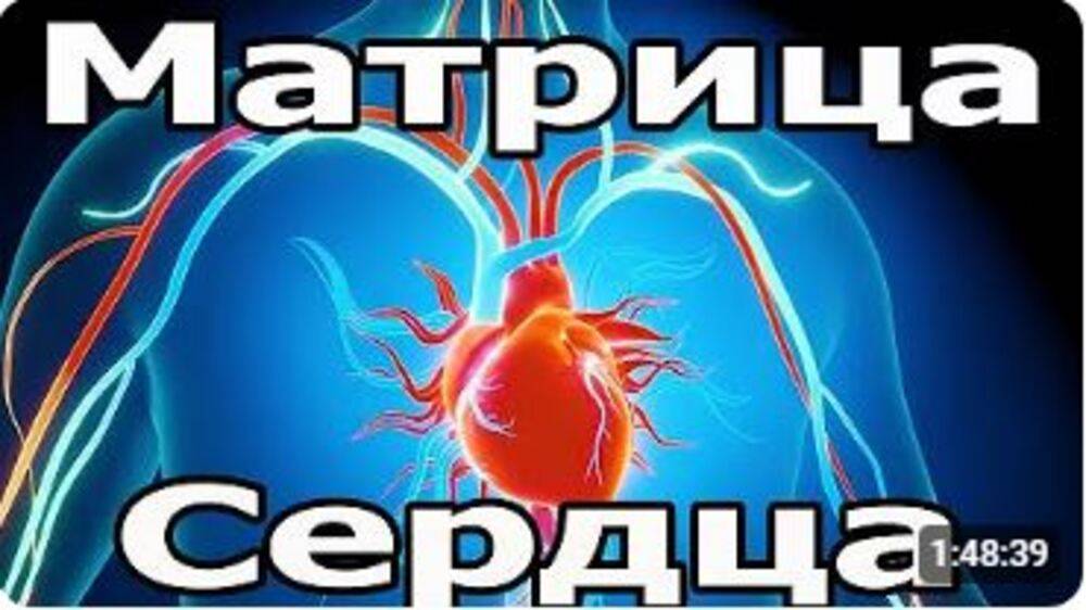 Матрица №6  Исцеление Сердца и Всей Кровеносной Системы  Очень Редкая!