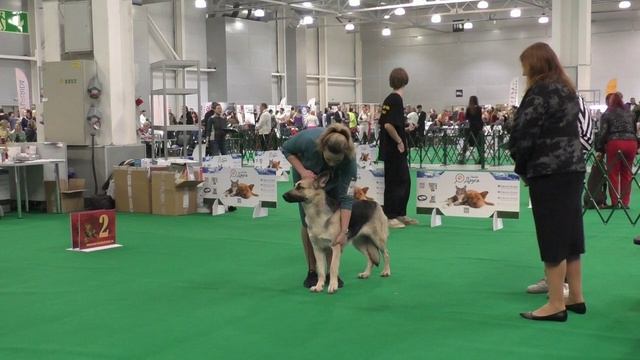 Лужаночка от Лугары