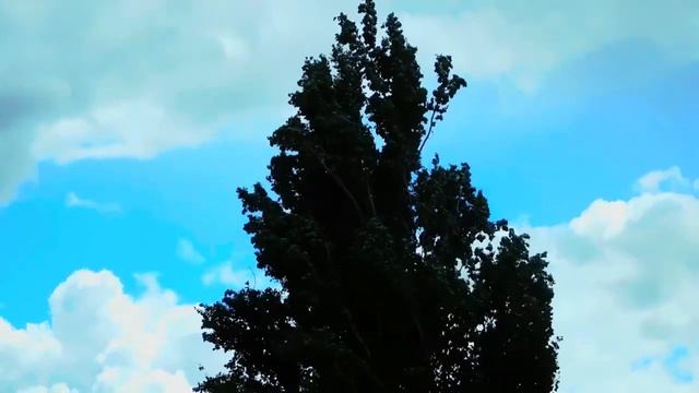 Types of weather for kids