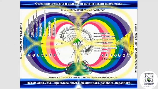 Пульсация жизни