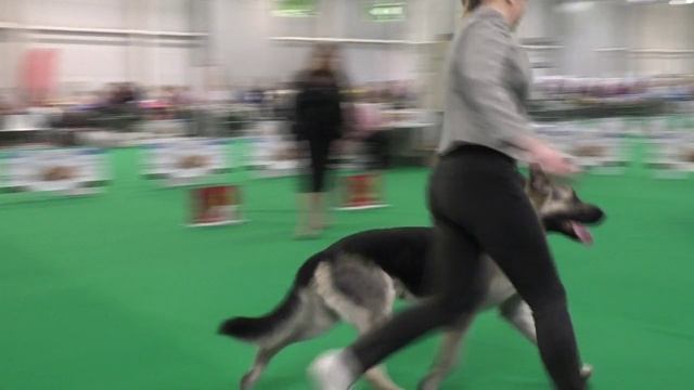 Класс юниоров