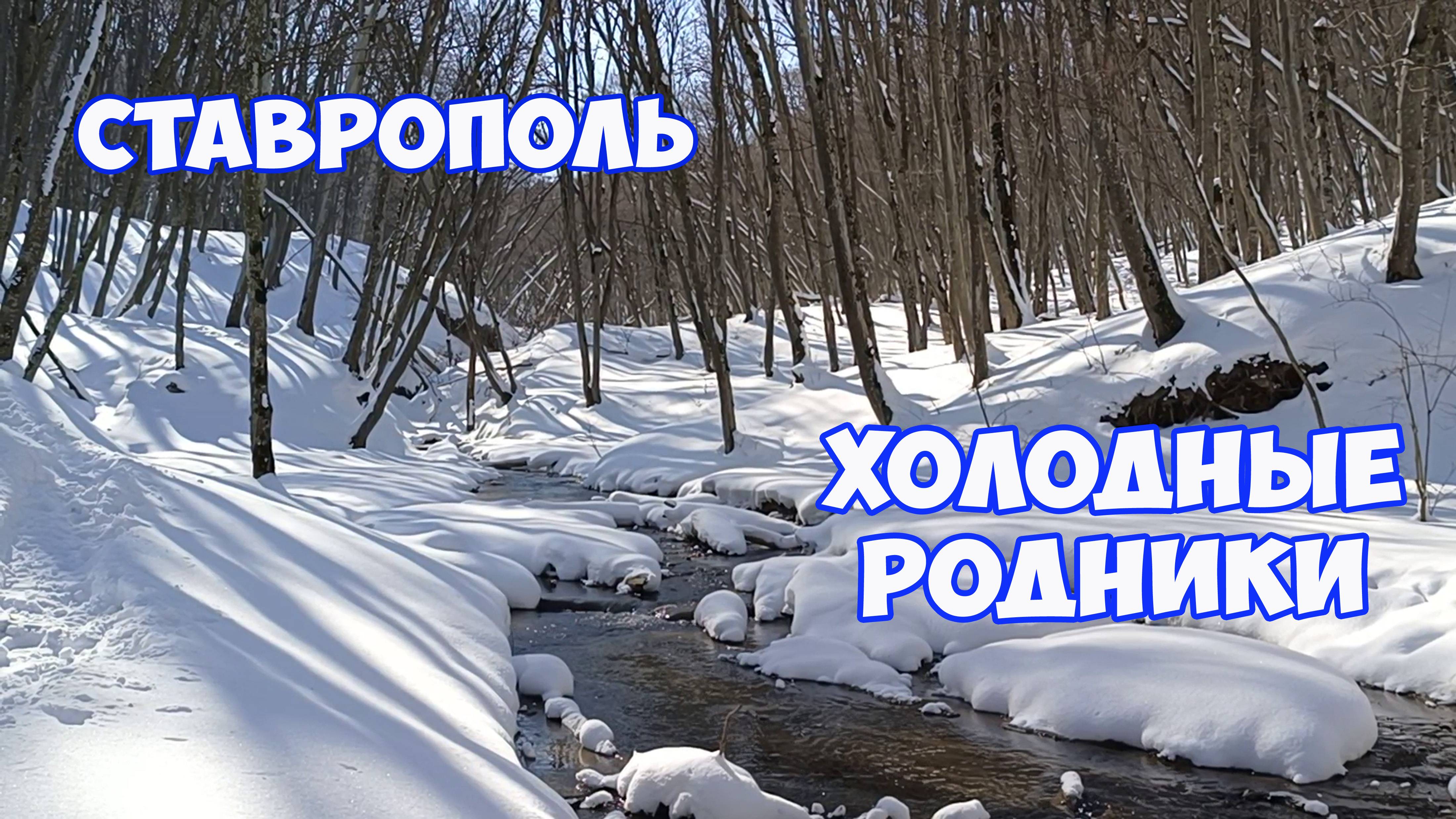 Холодные родники в Ставрополе. Интересные места Ставрополя. Родники в Таманском лесу Ставрополя