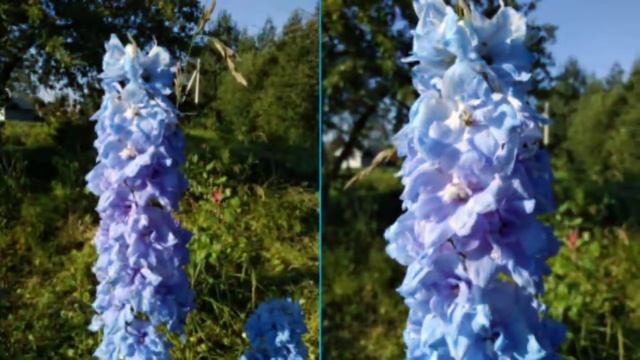 Природа и город.