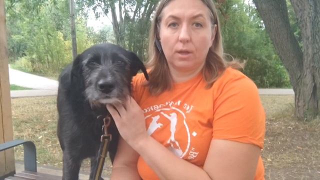 Отзыв о курсе "Базовая подготовка спортивной собаки"