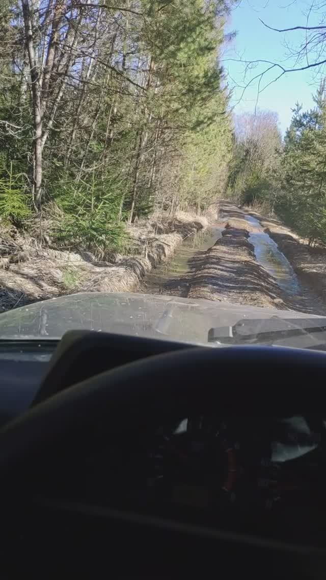 ПРИГЛАШАЕМ 4х4 ВСТРЕТИТЬ ВЕСНУ 15 марта 2025 г.